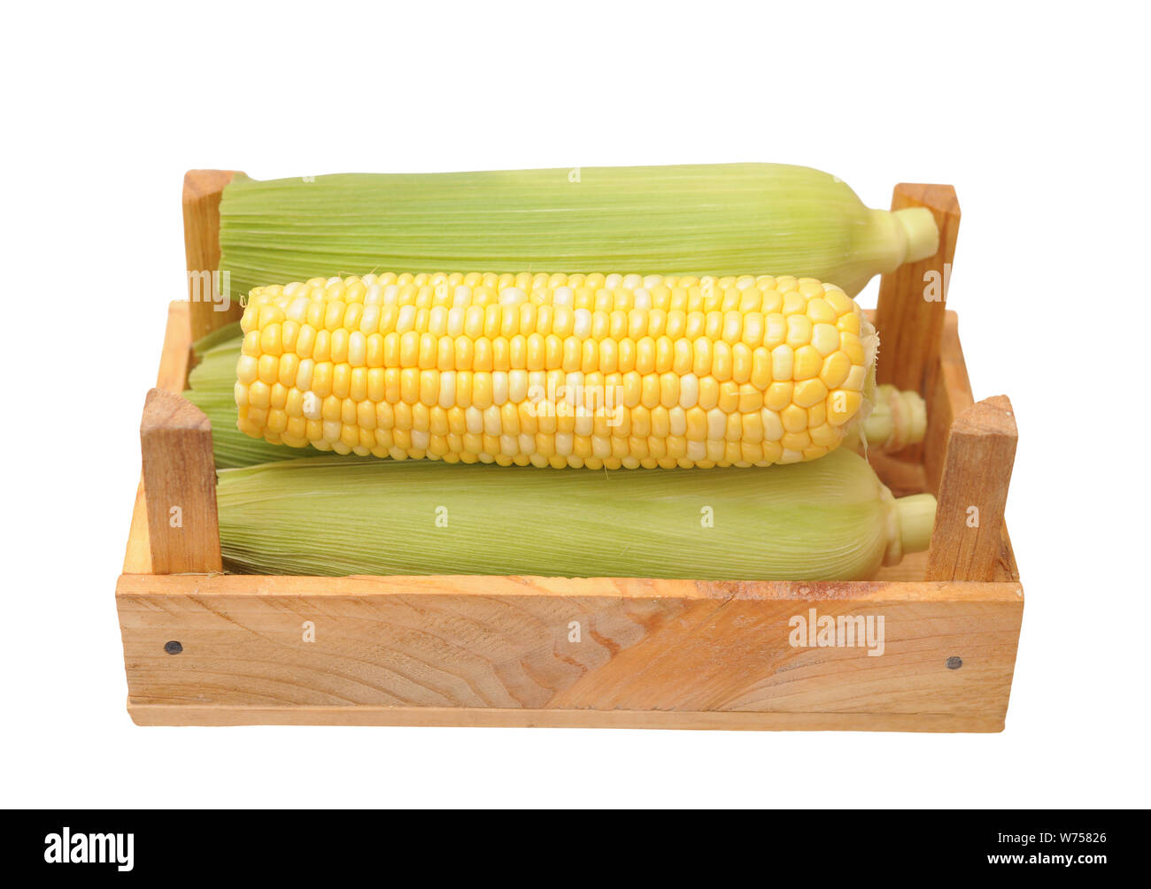 fresh corn in crate isolated on white Stock Photo - Alamy