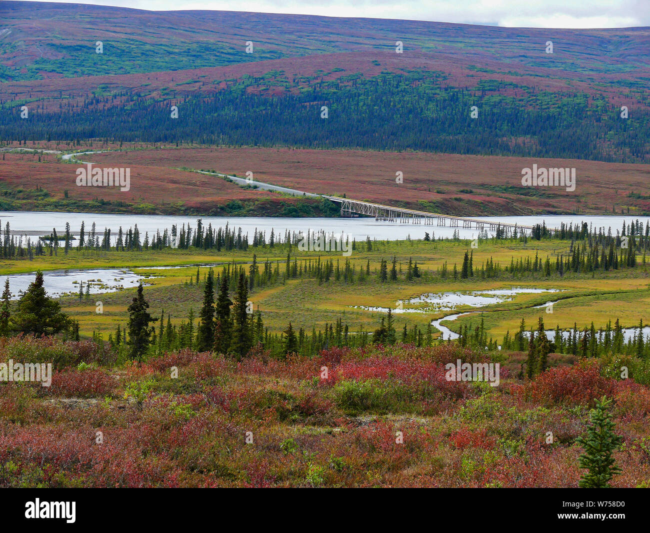 Fall Scenery along the Denali Highway, Alaska Stock Photo - Alamy