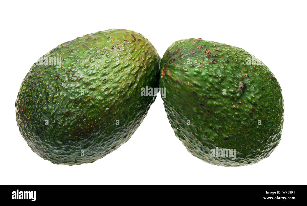 two avocado isolated on white background Stock Photo - Alamy