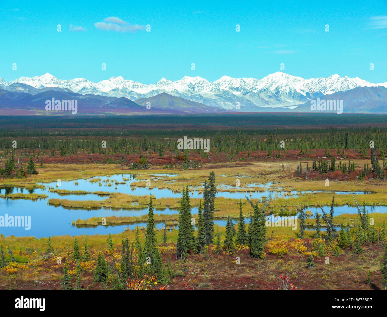 Fall Scenery along the Denali Highway, Alaska Stock Photo - Alamy