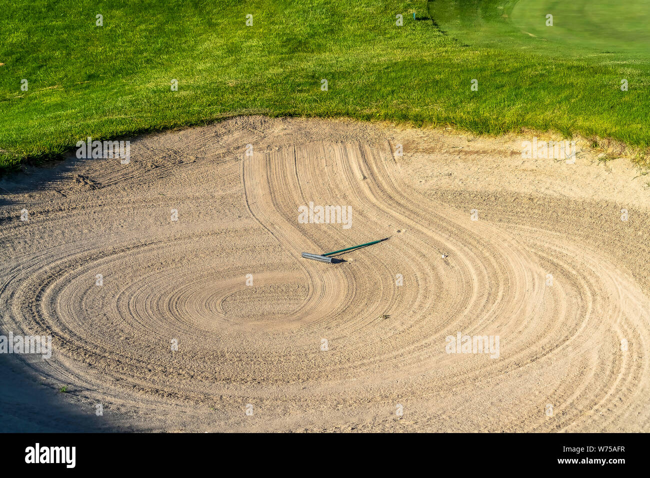 Close up of golf course sand bunker with a circular pattern created by ...