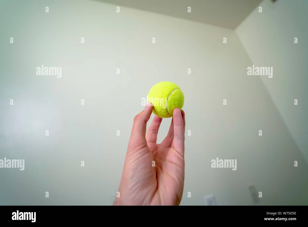 Hand holding a small ball isolated against a shiny white wall ...