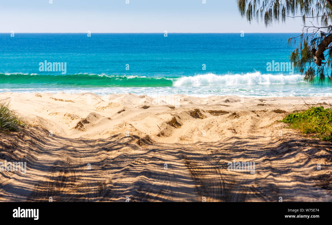 A sandy Path leading out to the Beach in a Sunny Day Stock Photo - Alamy