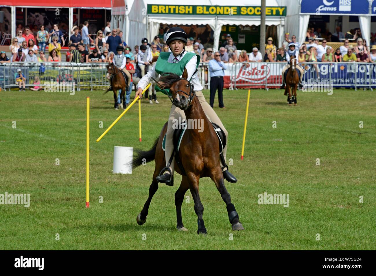 Members of Welsh pony clubs compete in mounted games at the 100th Royal ...