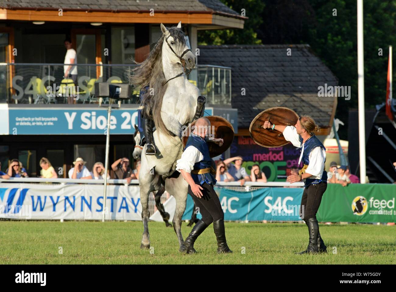 Atkinson's Action Horses perform at the 100th Royal Welsh Show 2019 ...