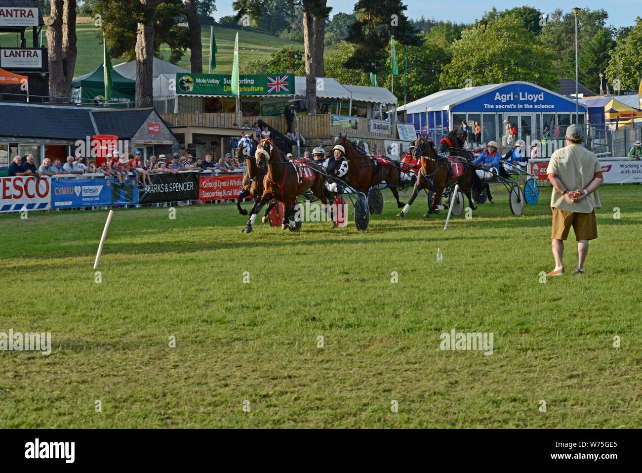 Jockeys and horses compete in trotting harness races at the Royal Welsh ...