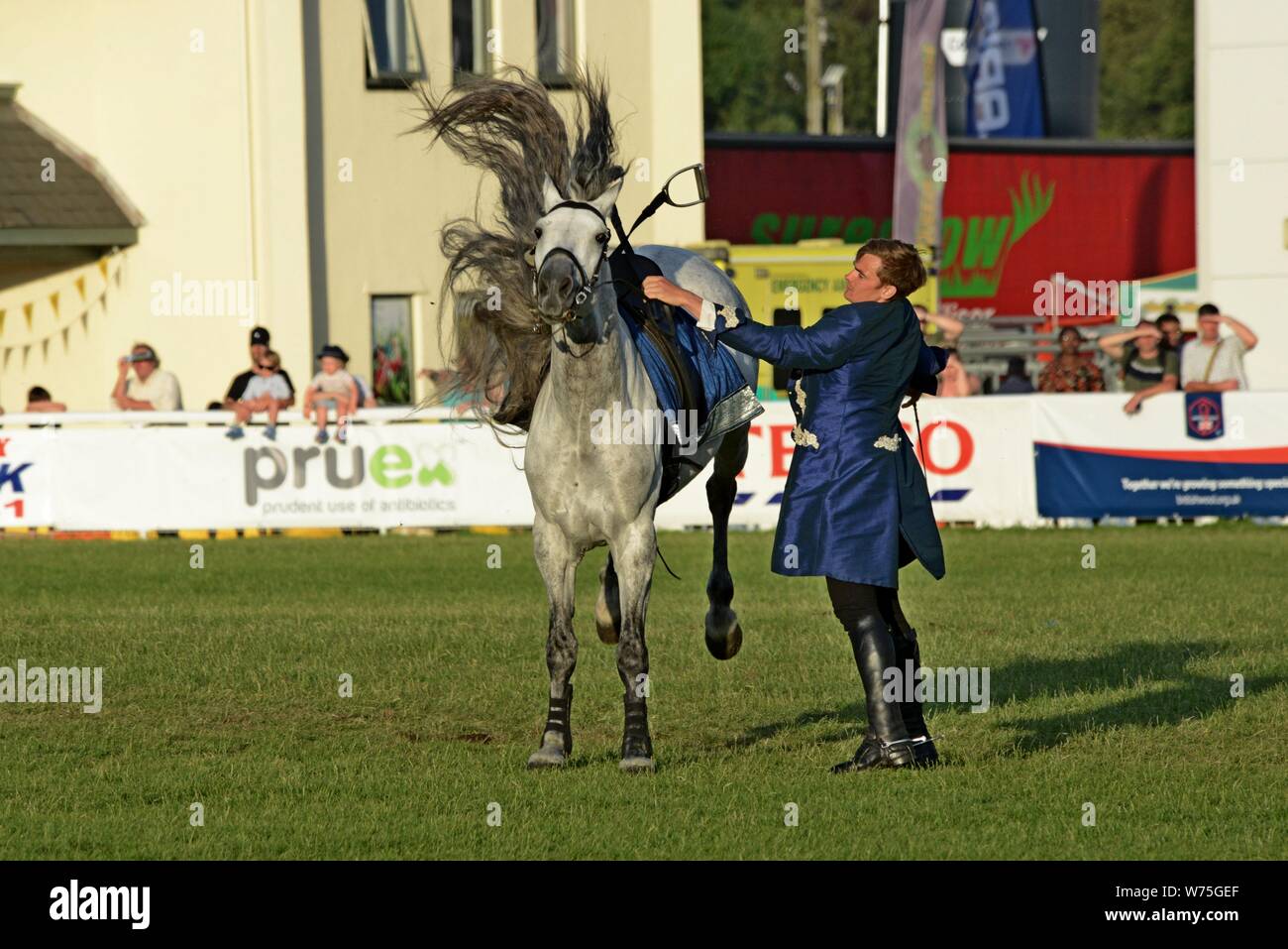 Atkinson's Action Horses perform at the 100th Royal Welsh Show 2019 ...