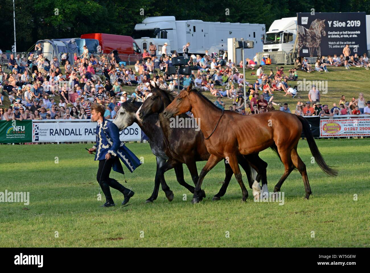 Atkinson's Action Horses perform at the 100th Royal Welsh Show 2019 ...