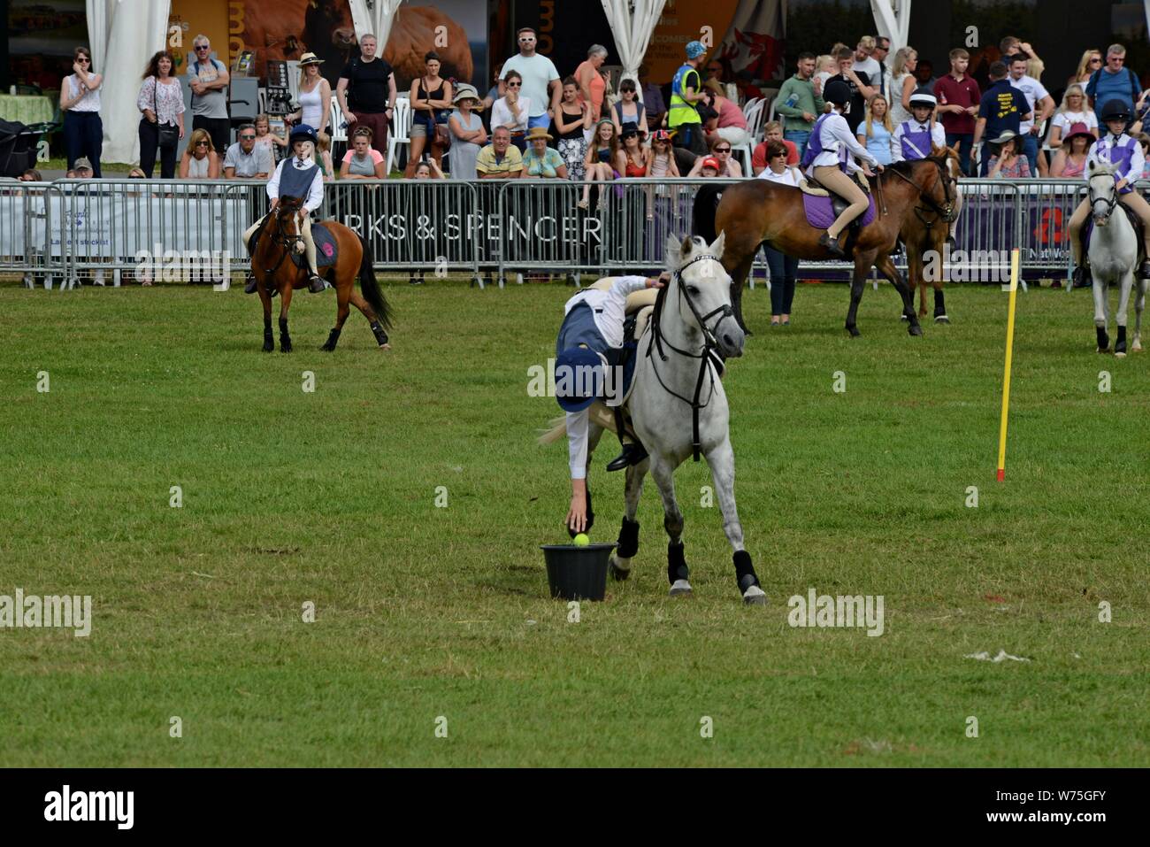 Members of Welsh pony clubs compete in mounted games at the 100th Royal ...