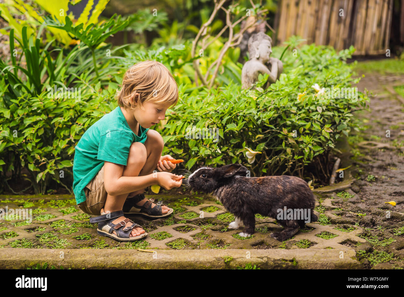 The boy feeds the rabbit. Cosmetics test on rabbit animal. Cruelty free ...