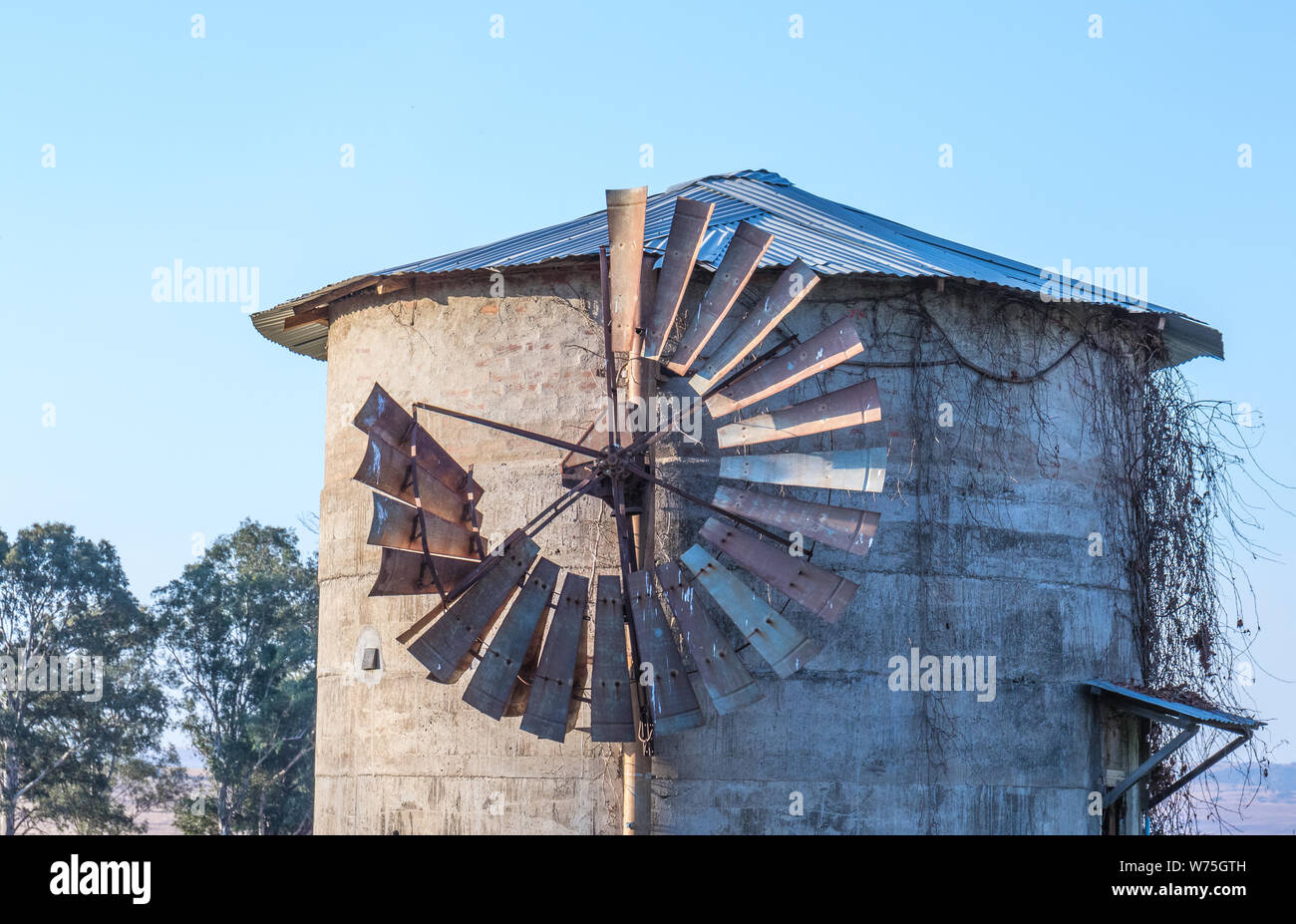 Antique Windmill Head
