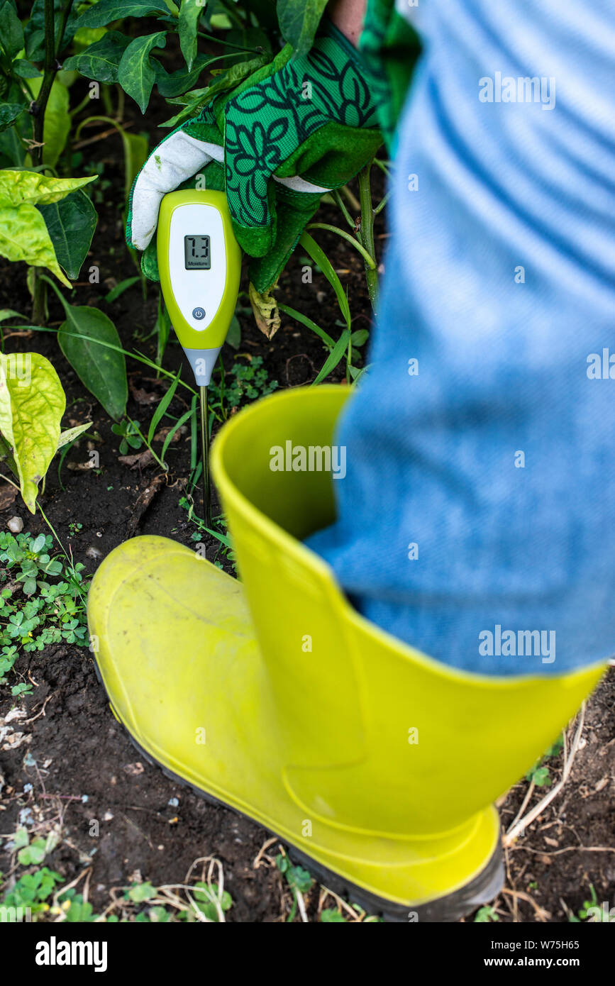 Moisture meter tester in soil. Measure soil for humidity with digital ... Moisture meter tester in soil. Measure soil for humidity with digital ...