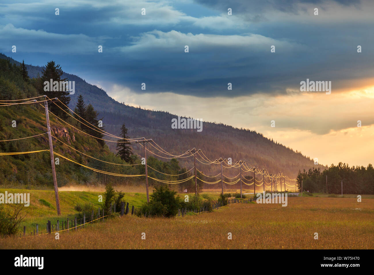 Electricity Pylons in sunset fields Stock Photo - Alamy