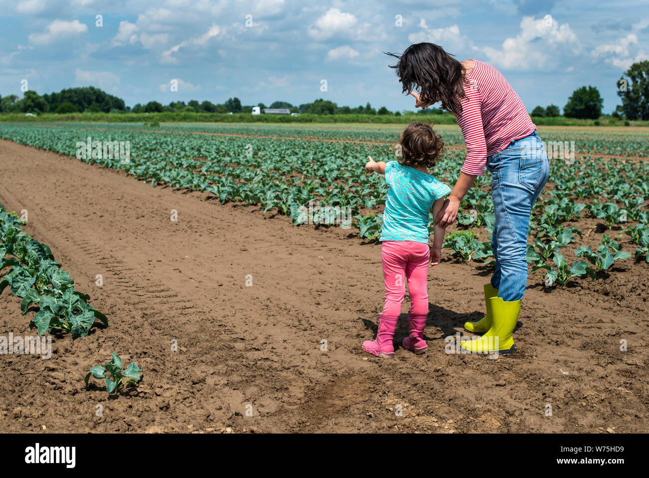 Woman and child on cabbage plantation. Agriculture concept with mother ...
