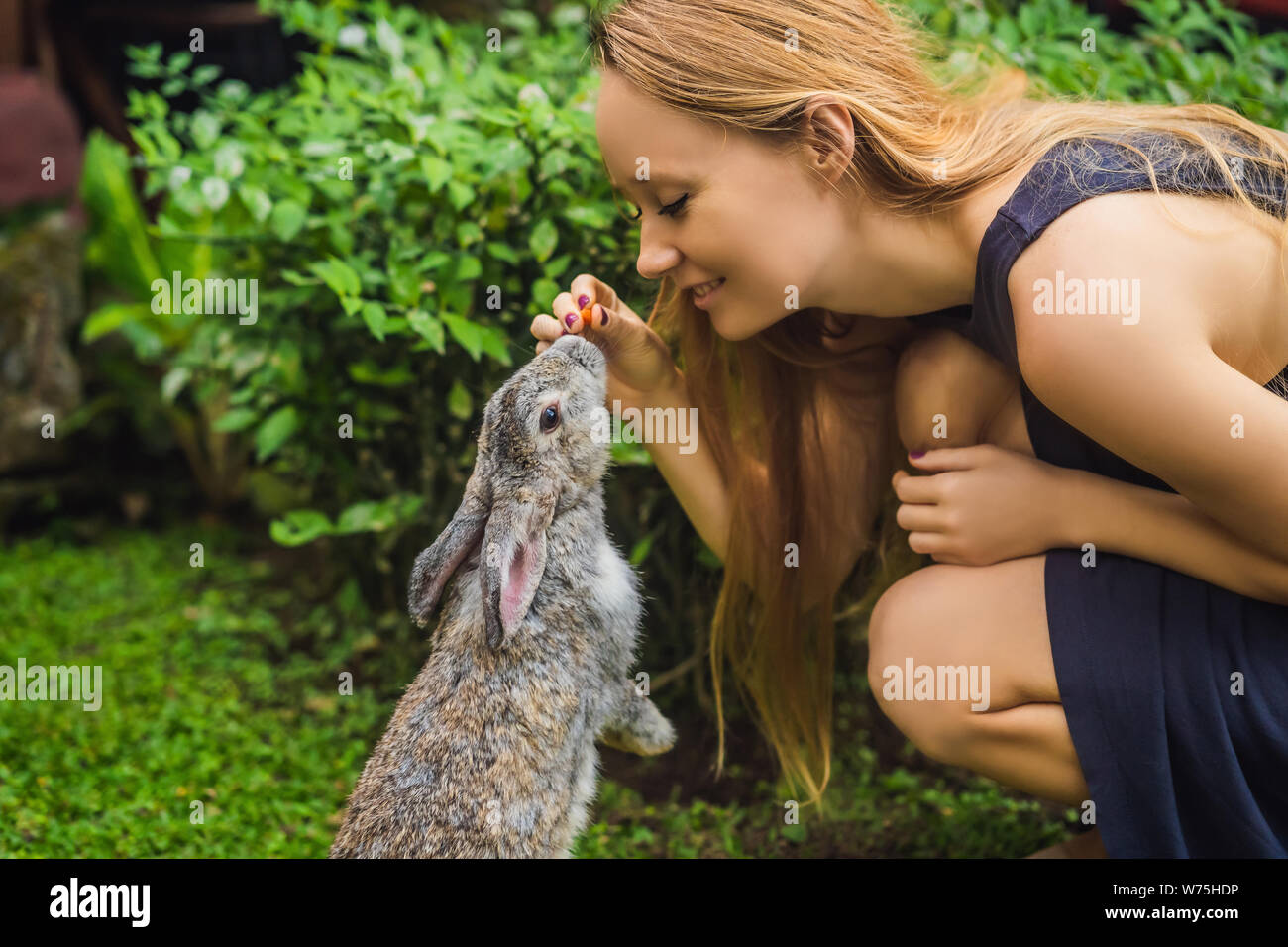 Pharmacology animals hi-res stock photography and images - Alamy
