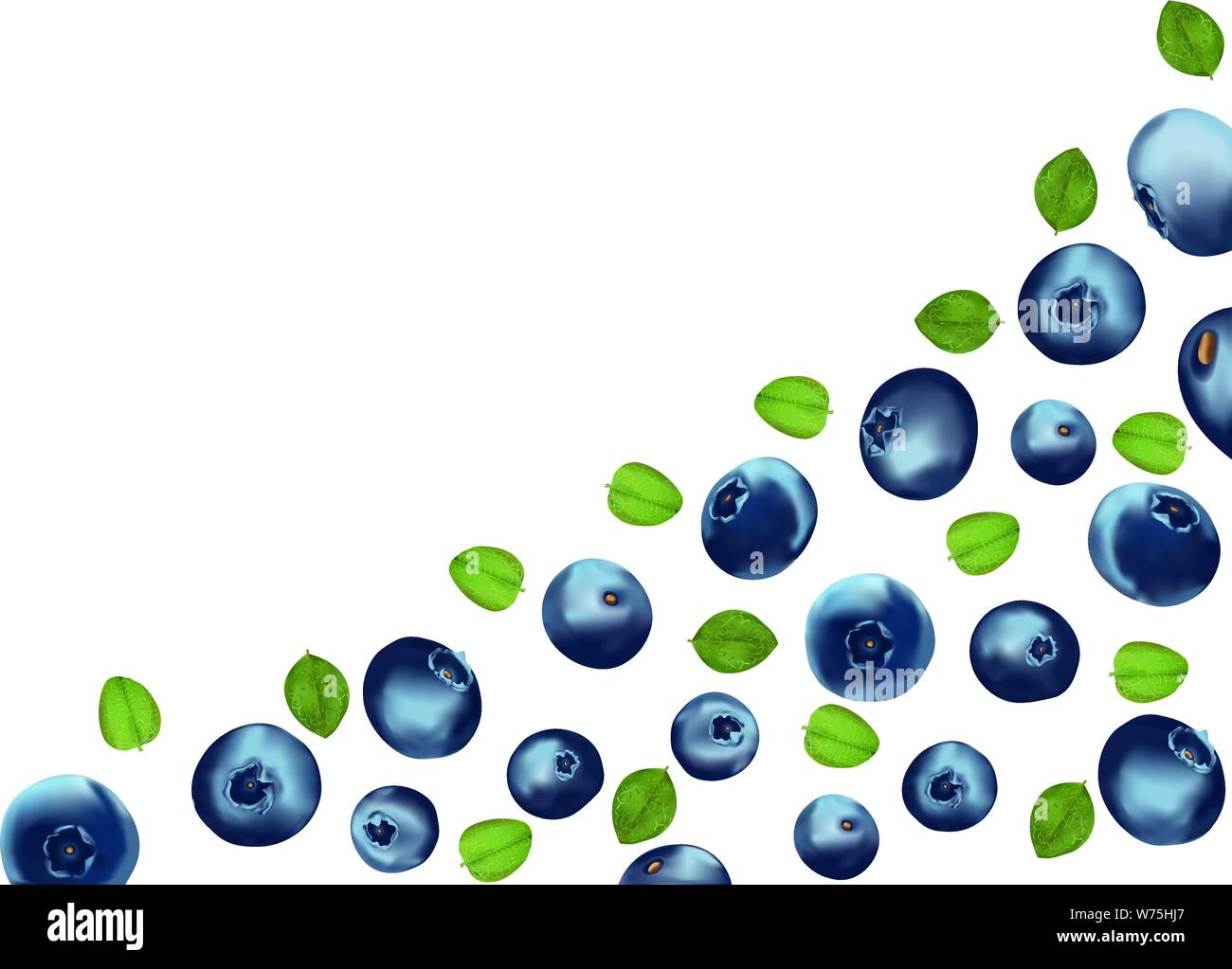 Beautiful fresh ripe blueberry with green leaft isolated on white ...