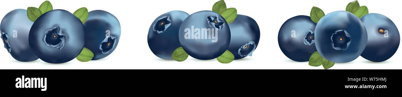 Forest berry with leaft. Collection fresh ripe blueberry. 3d realistic blueberry on white ...