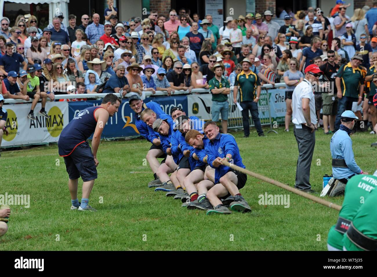 Teams from Welsh Young Farmer's clubs compete in a tug of war ...