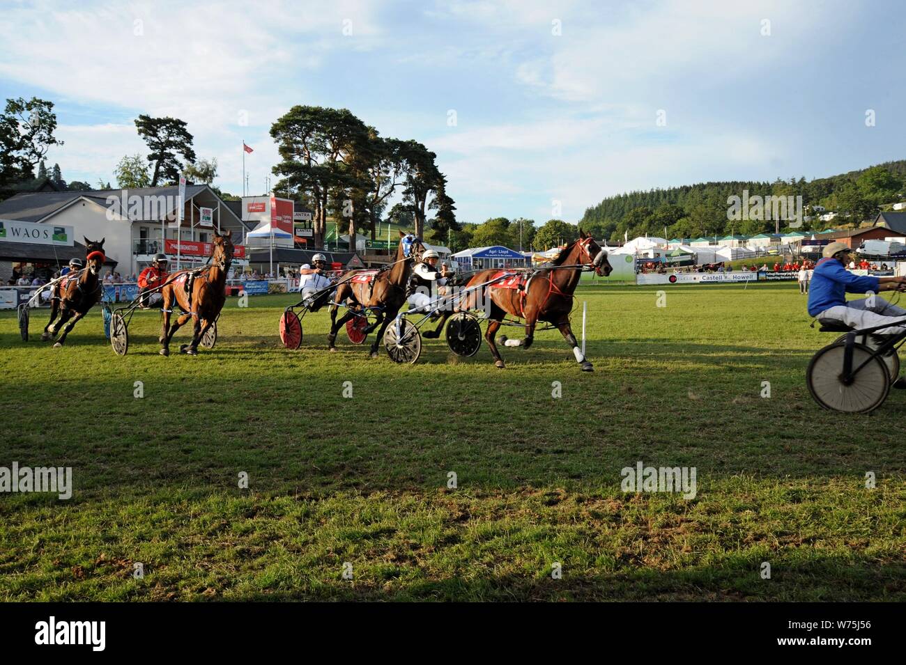 Jockeys and horses compete in trotting harness races at the Royal Welsh ...