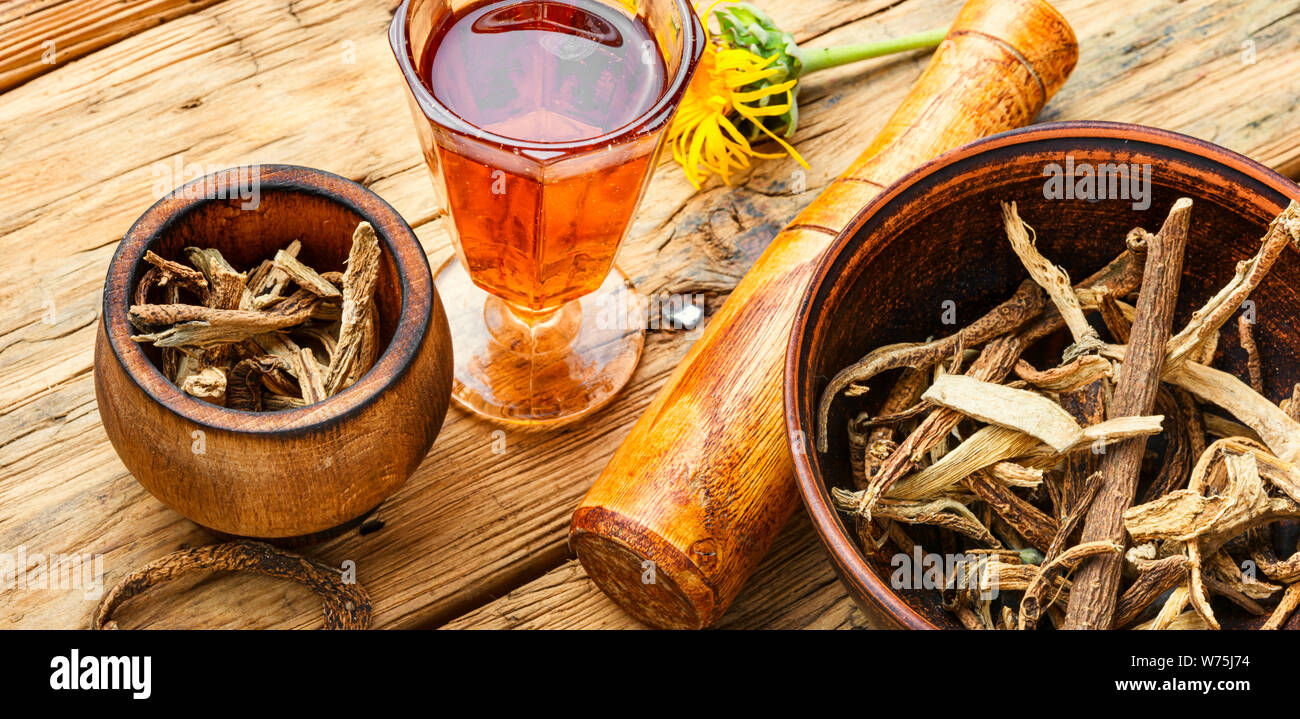 Roots and rhizomes of elecampane.Medicinal plant inula.Preparation of ...