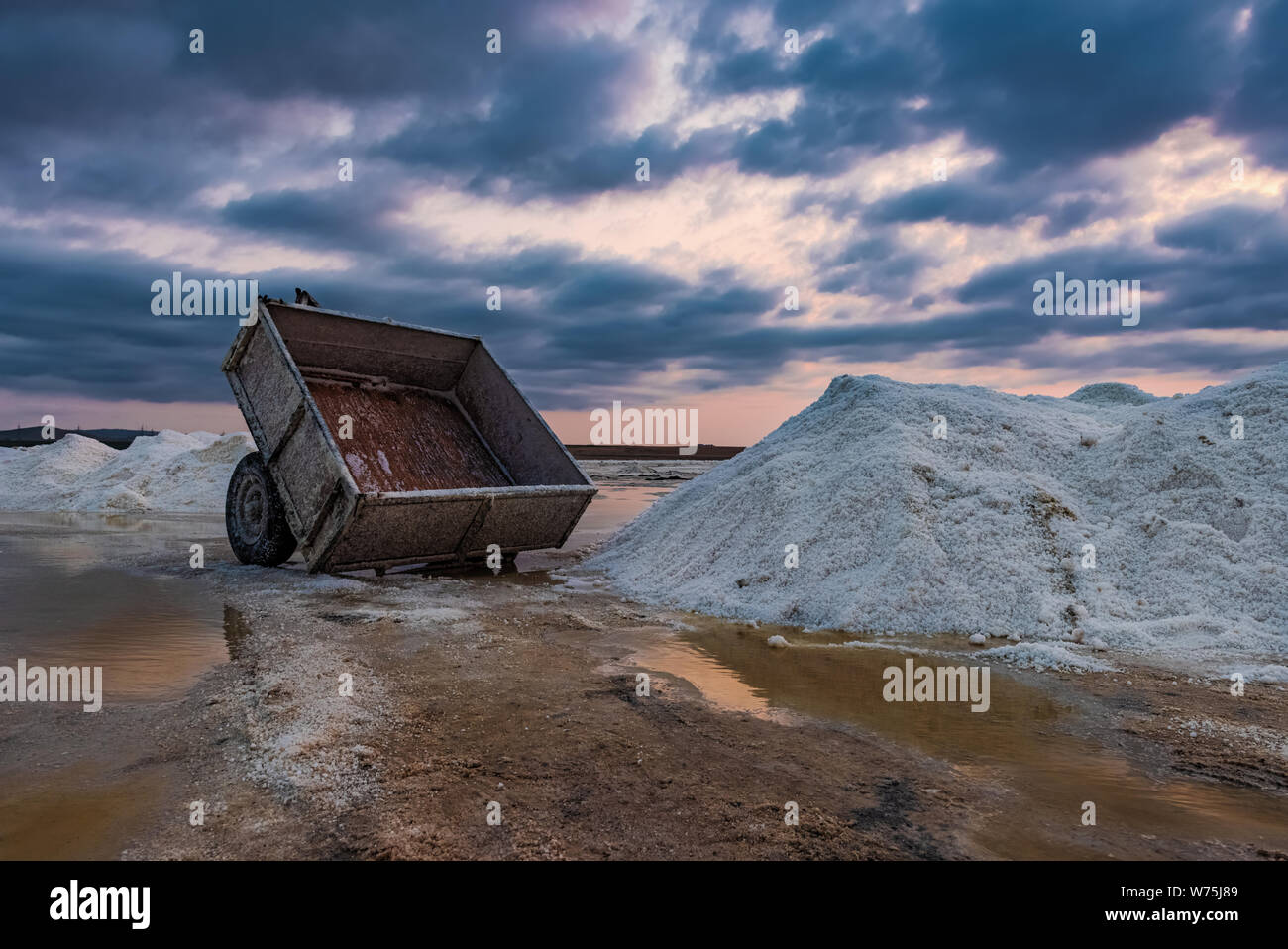 Salt mining on the lake during sunset Stock Photo - Alamy