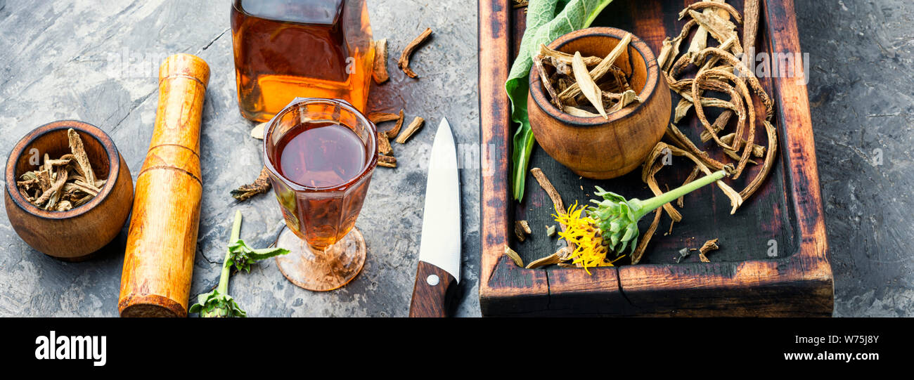 Roots and rhizomes of elecampane.Medicinal plant inula.Preparation of ...