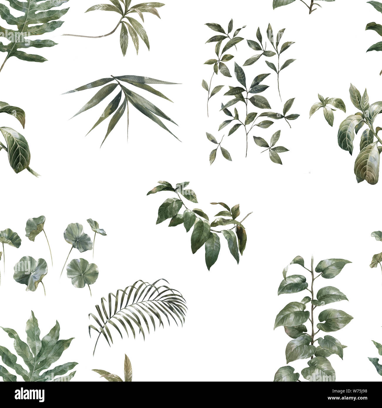 Watercolor illustration of leaf, seamless pattern on white background ...