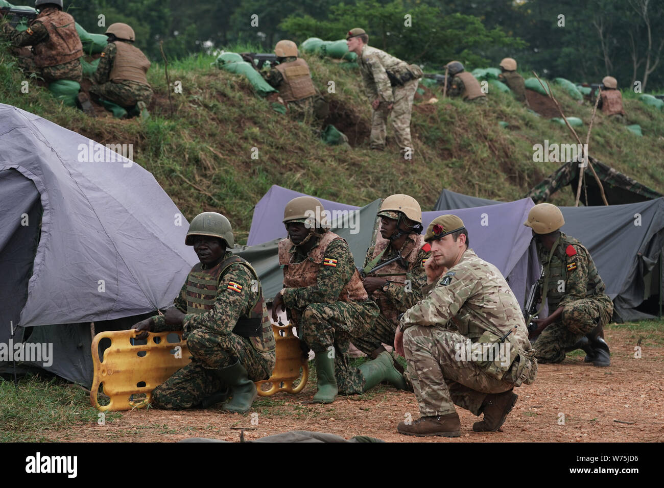 LT Pierre Ozanne from the British Army during a training exercise with ...