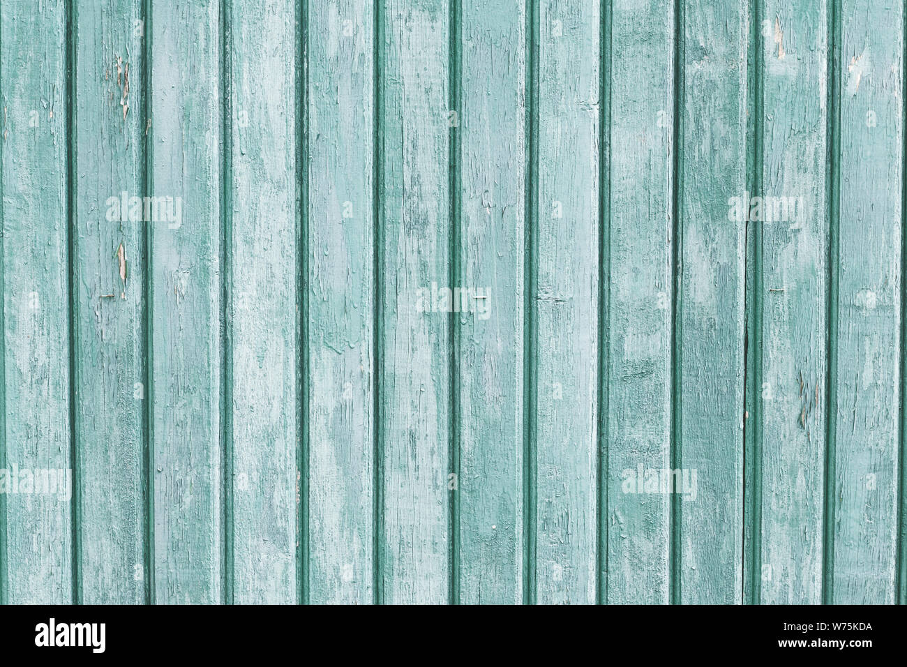 Vintage rustic pattern with old wood texture. Light wooden backdrop ...