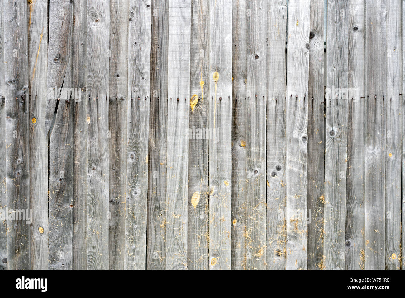 Background natural wooden boards. Texture of old unpainted wooden ...