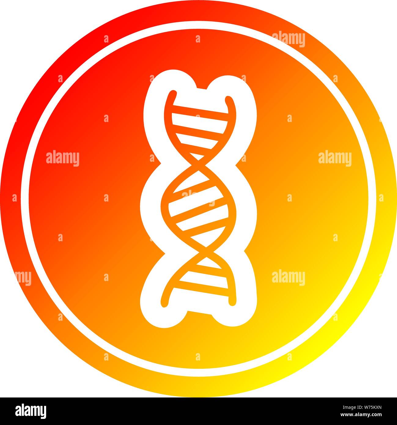 Circular dna Cut Out Stock Images & Pictures - Alamy