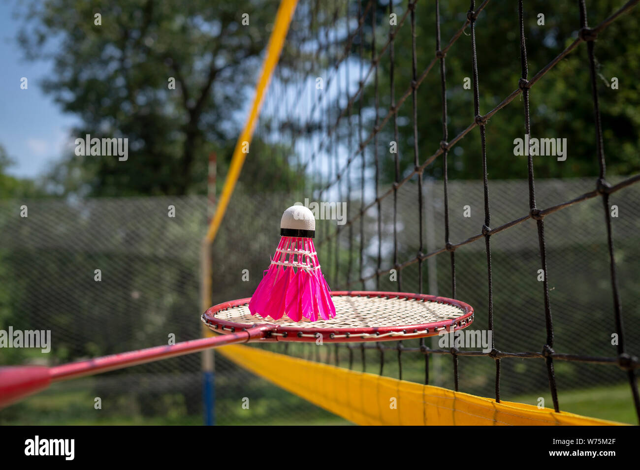 Pink feathered shuttlecock on racket with a badminton net Stock Photo ...