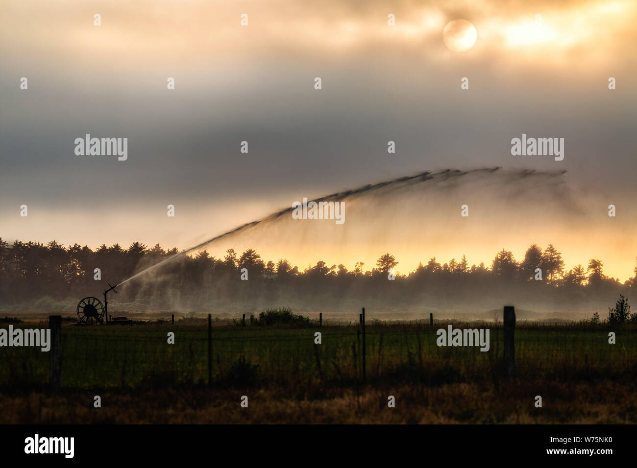 California crops irrigation hi-res stock photography and images - Alamy