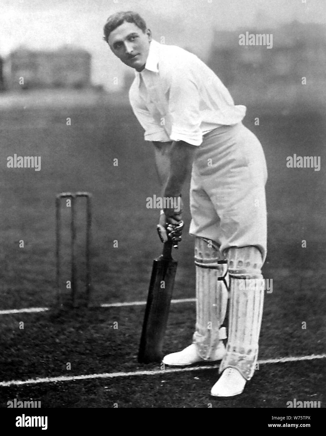 C fry hi-res stock photography and images - Alamy