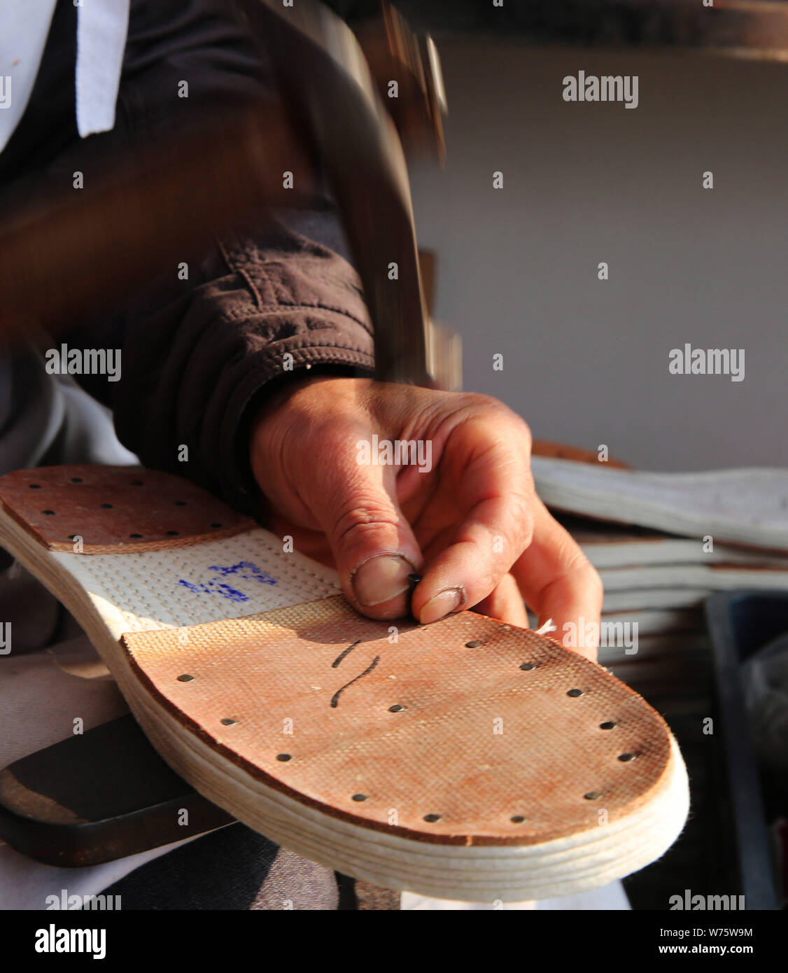 East fang hi-res stock photography and images - Alamy
