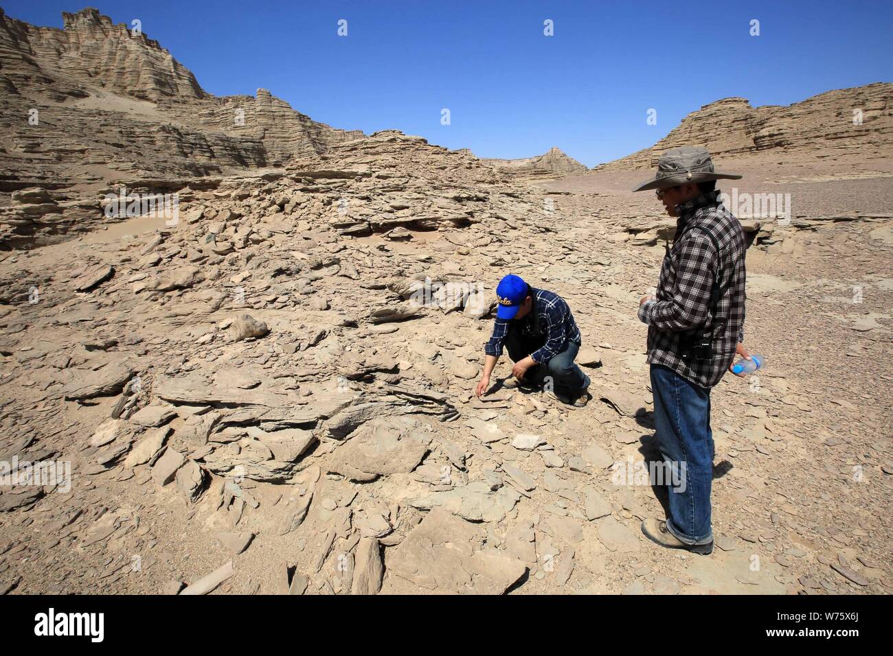 --FILE--Chinese paleontologist Wang Xiaolin and his colleague excavate ...