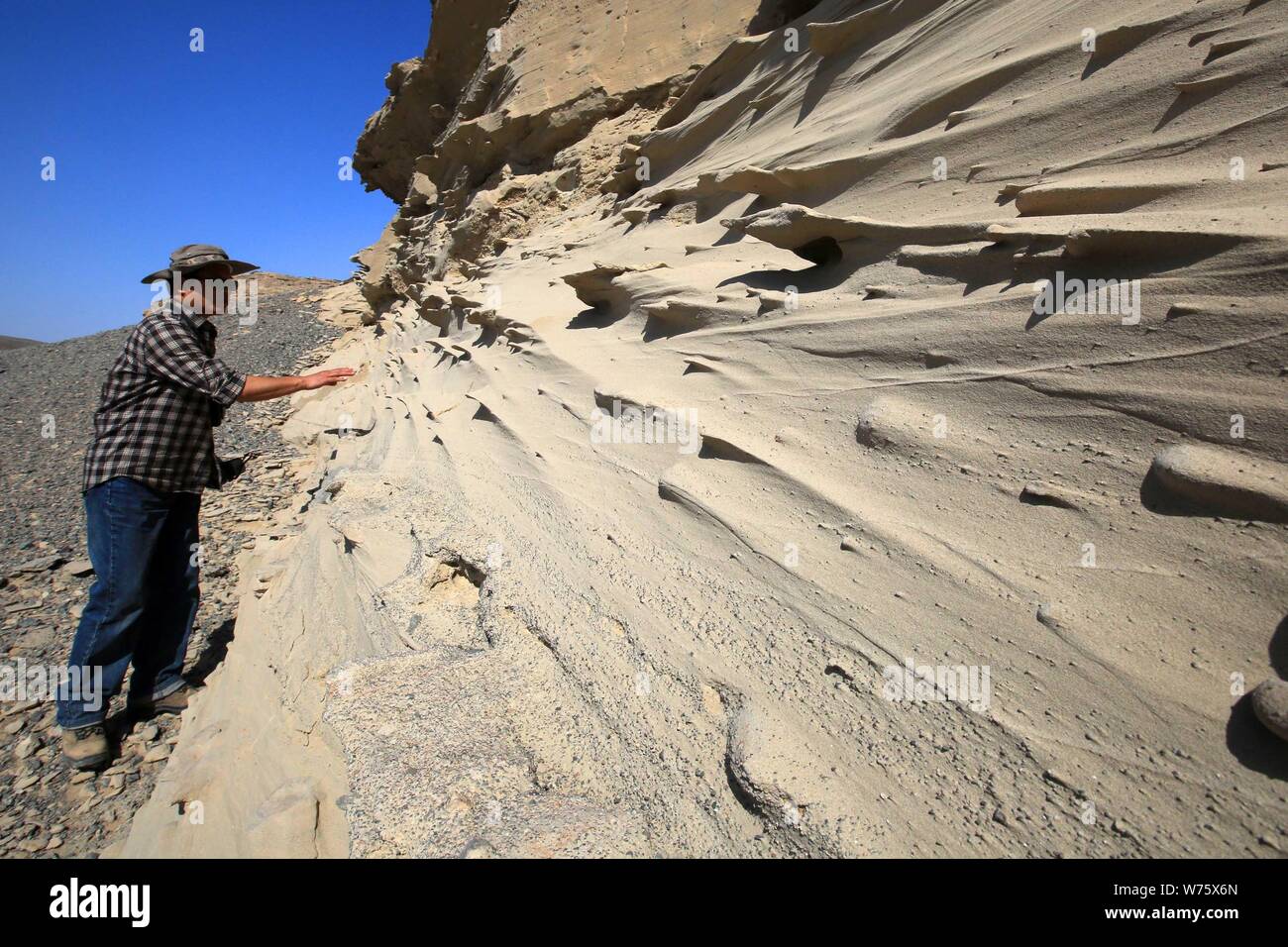 --FILE--Chinese paleontologist Wang Xiaolin excavates the three ...
