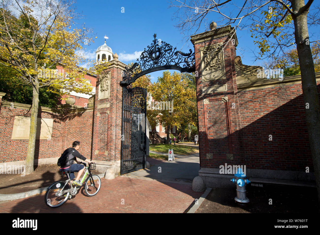 Harvard university campus hi-res stock photography and images - Alamy