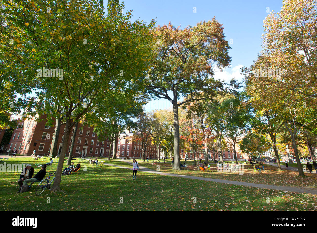 Harvard university campus hi-res stock photography and images - Alamy