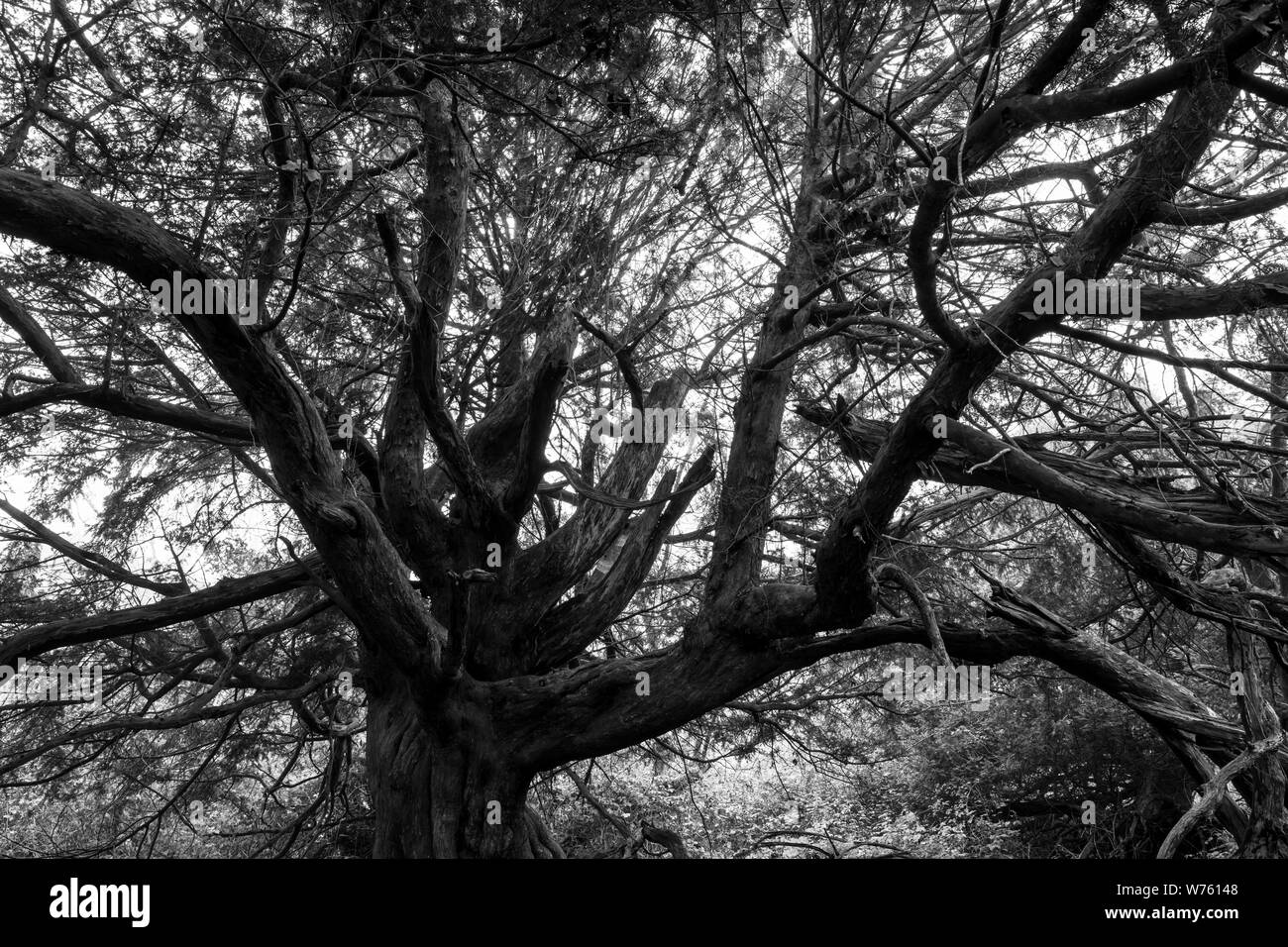 West vale Black and White Stock Photos & Images - Alamy