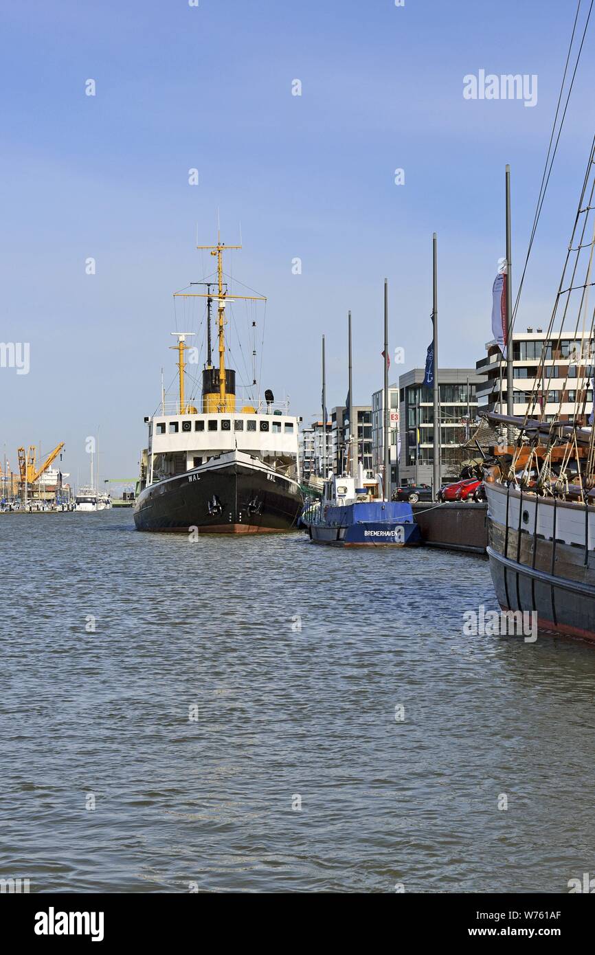 Museum ship steam icebreaker Wal in the new harbour in Bremerhaven with ...