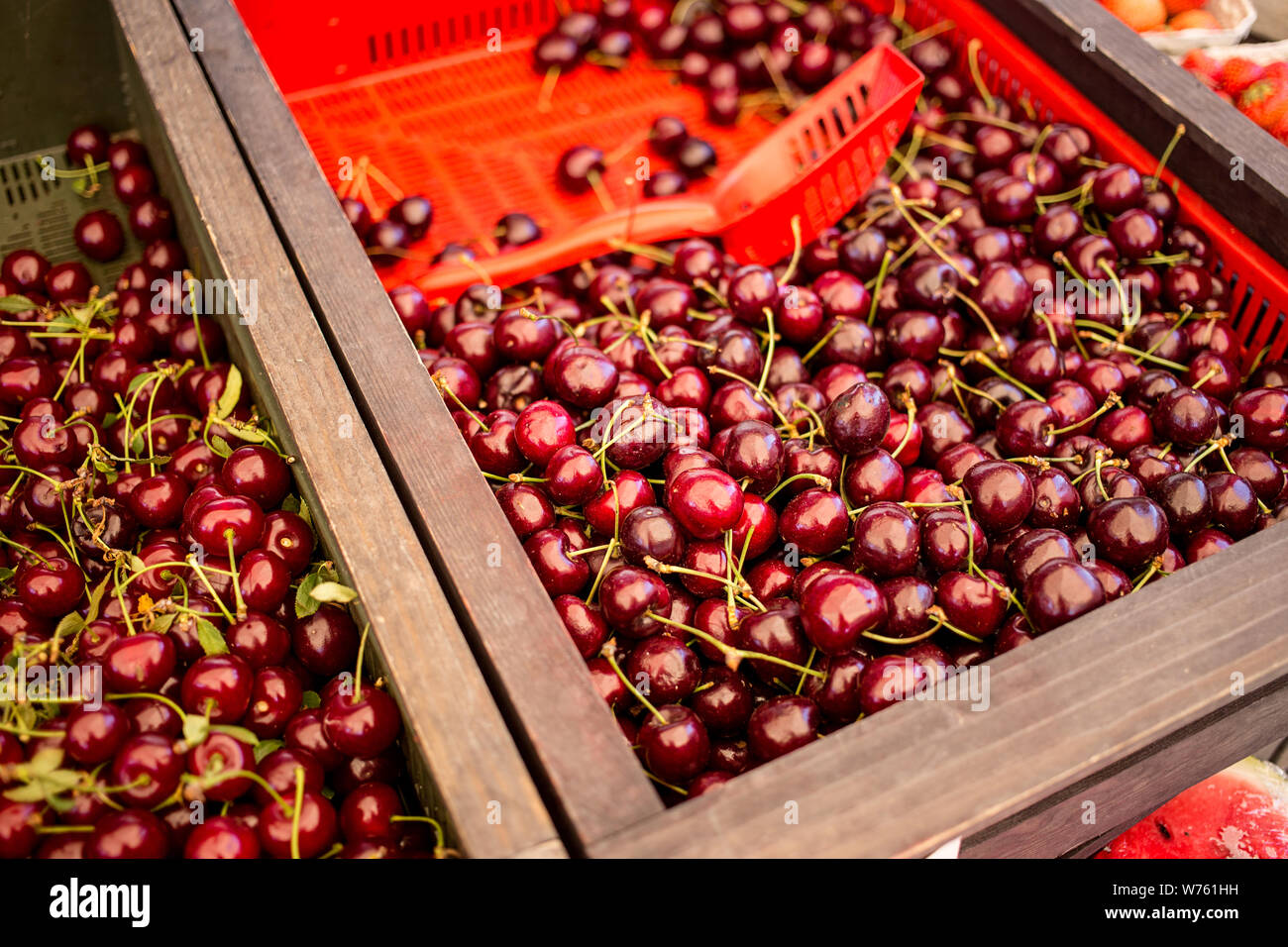 Sweet fresh cherries in boxes at a market. Fresh sweet cherry texture ...
