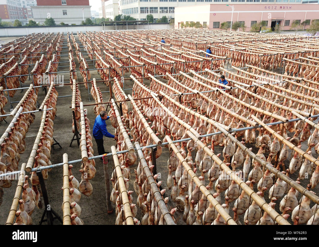 Chinese workers hang Jinhua hams to dry them in the sun in a factory of ...