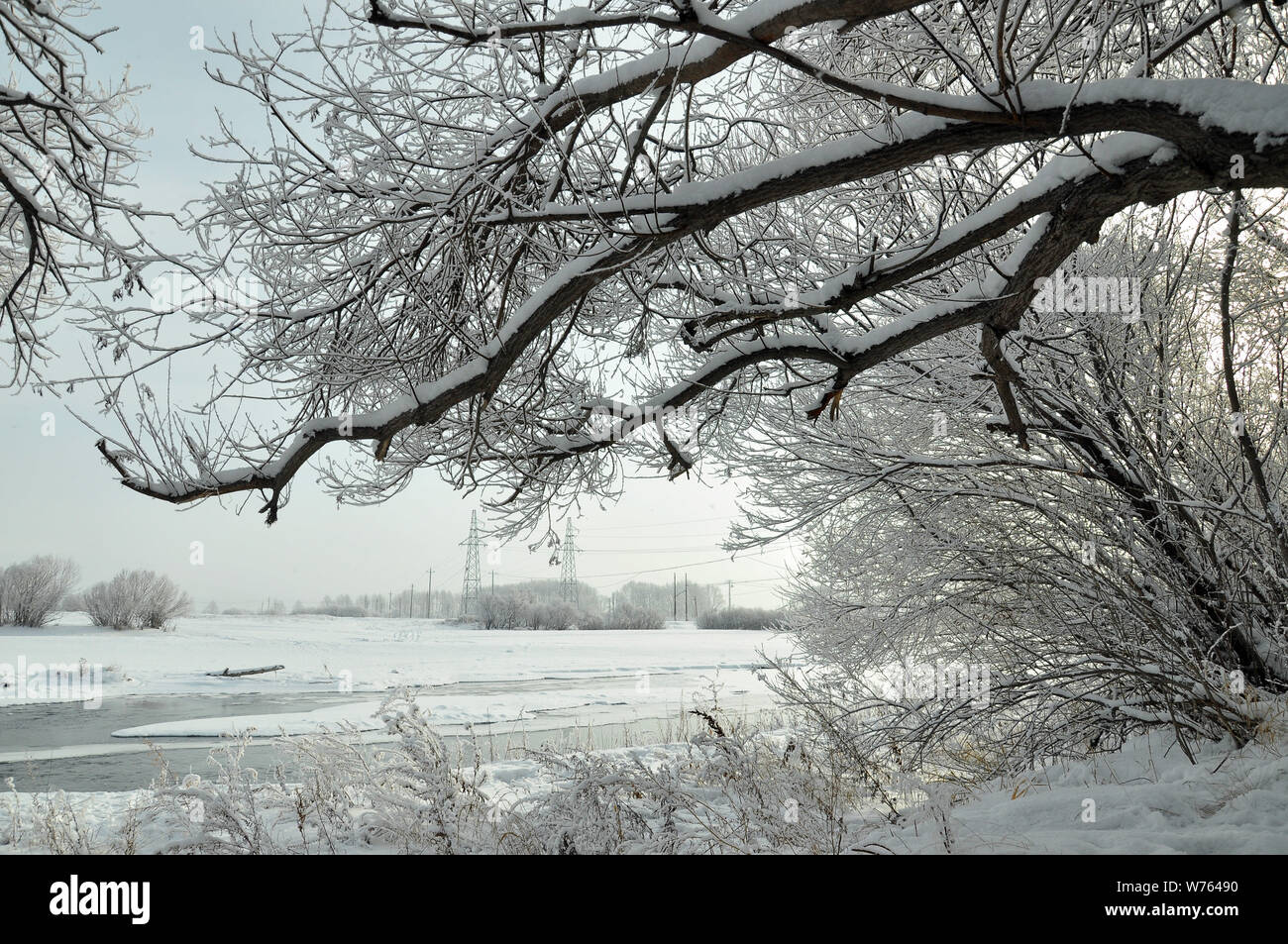 Snow scenery of the Zhadun River in Yakeshi of Hulunbuir, north China's ...