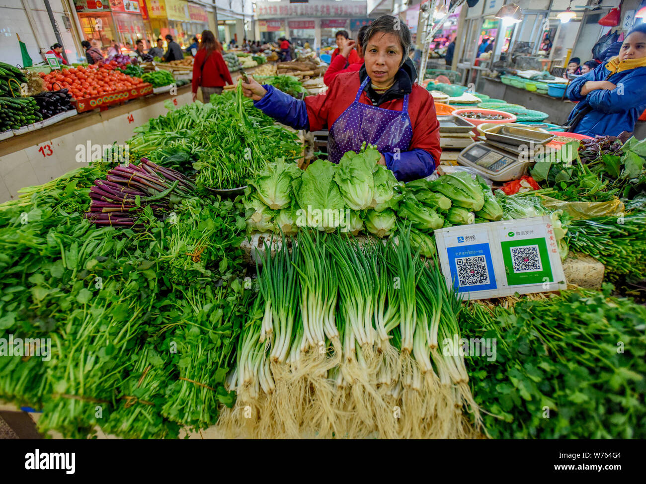 --FILE--View of signs of QR codes via mobile payment service Alipay of ...