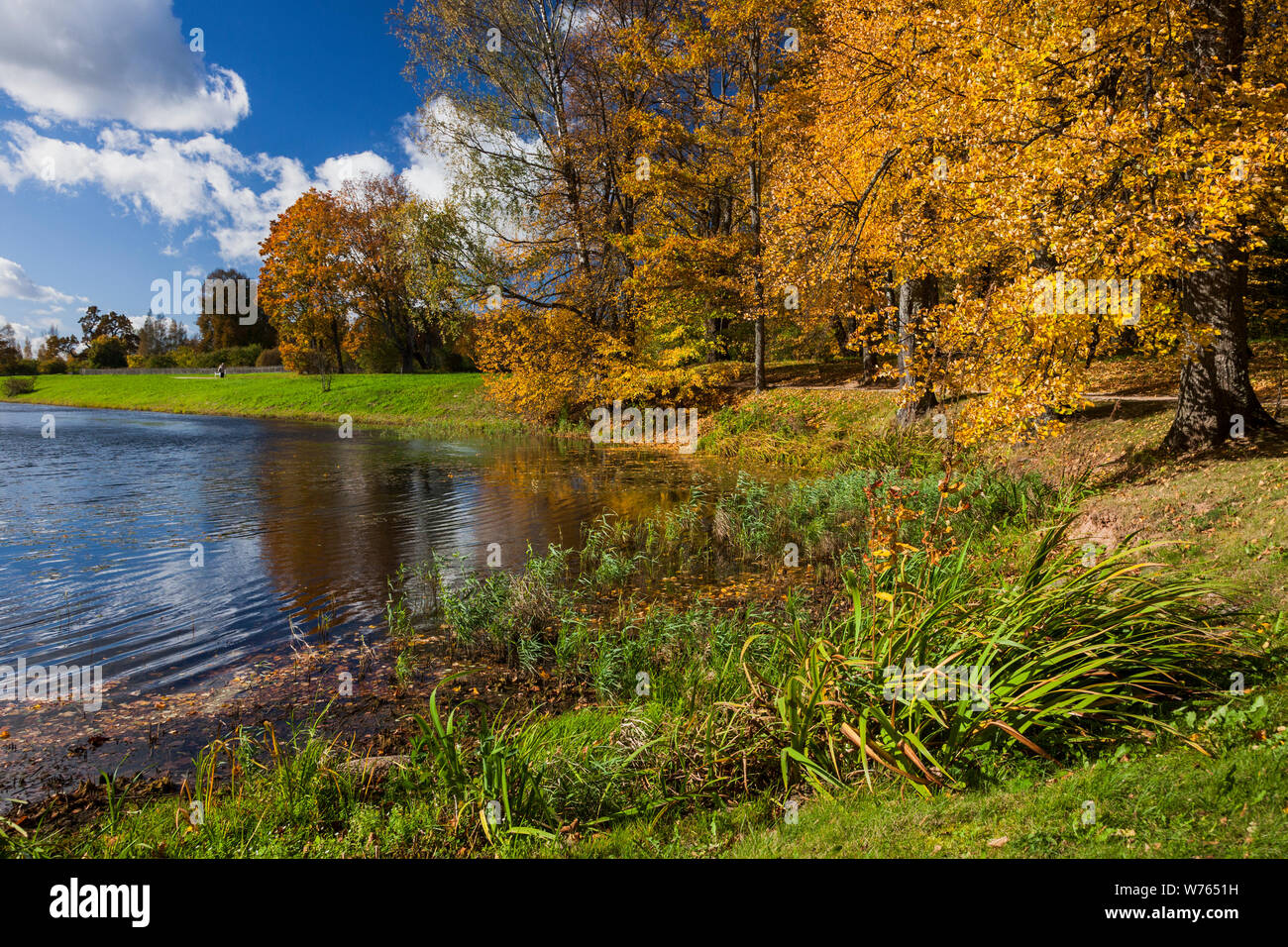 Russian countryside hi-res stock photography and images - Alamy