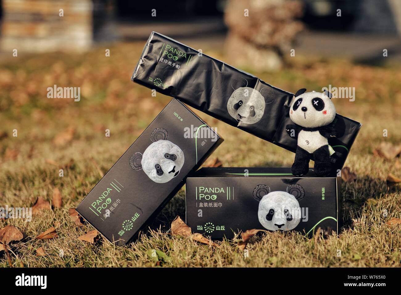 Tissue paper made from giant "panda poo" is on display at a base of ...