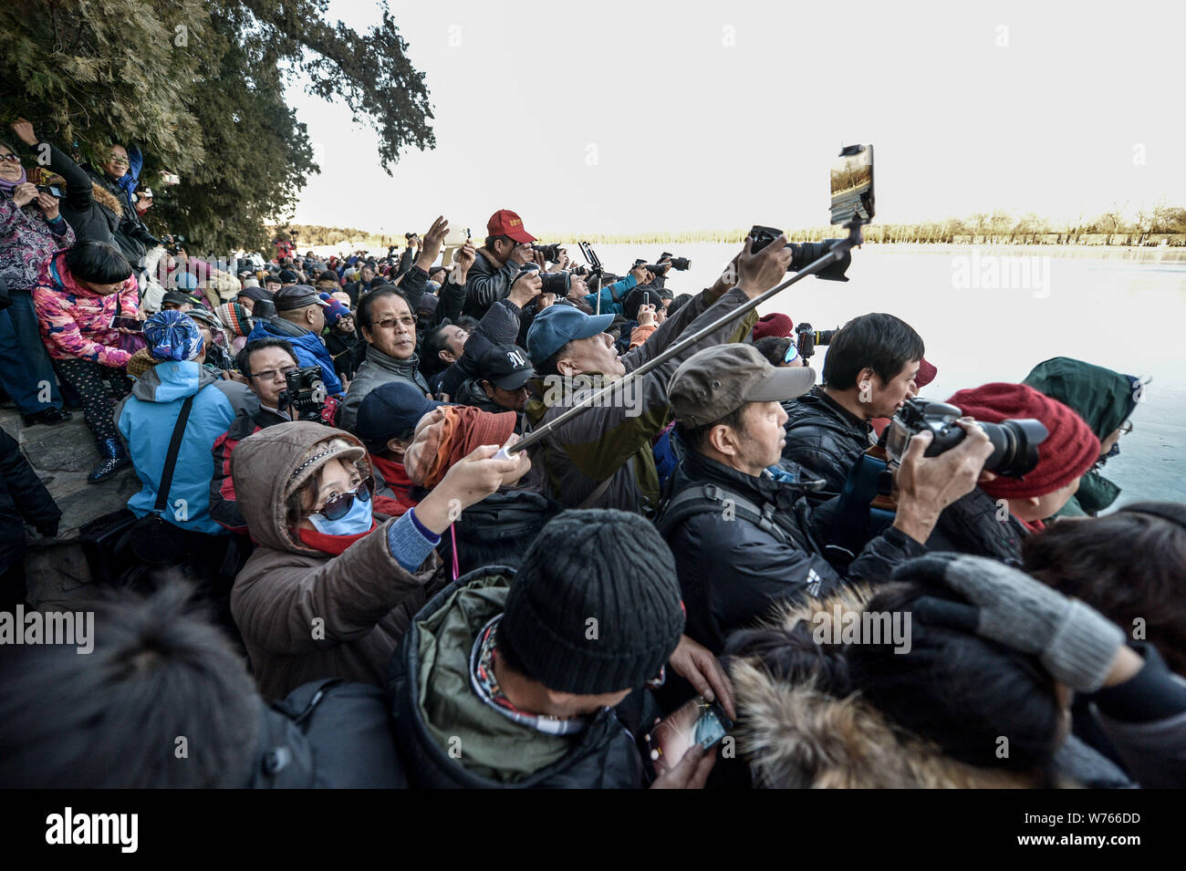 Visitors and photographers throng to enjoy the scenery of Seventeen ...