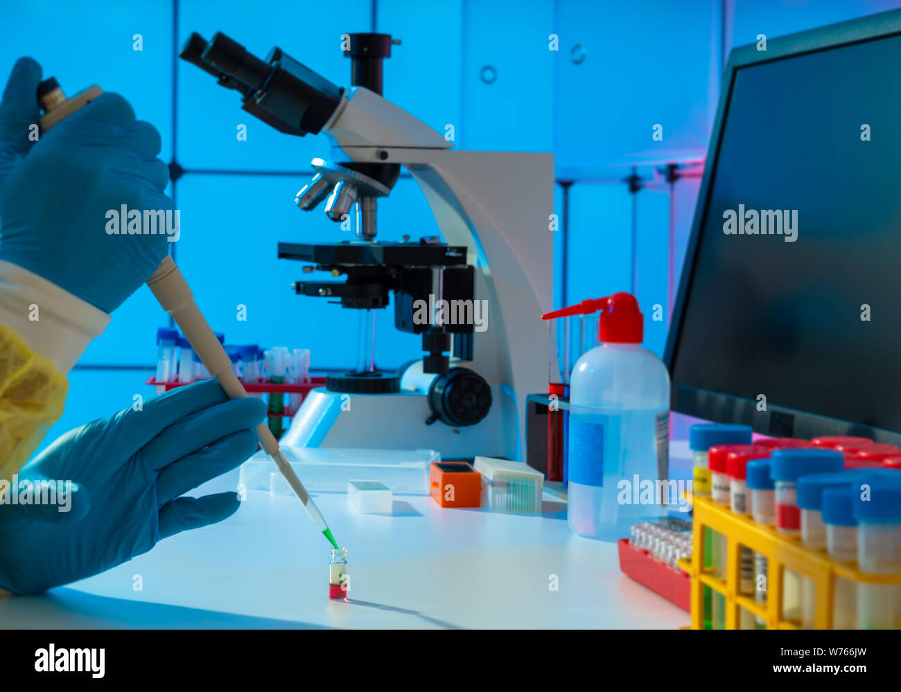 scientific experiment in microbiology laboratory. pipetting genetic ...