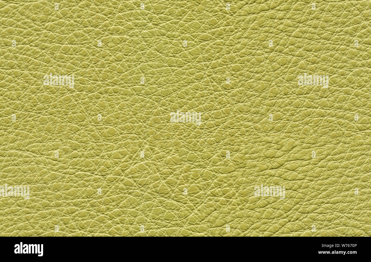 Green leather texture hi-res stock photography and images - Alamy